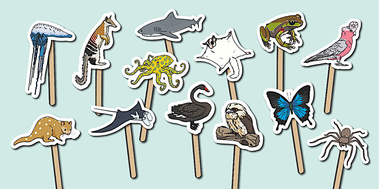 Australian Animal Stick Puppets (teacher made) - Twinkl