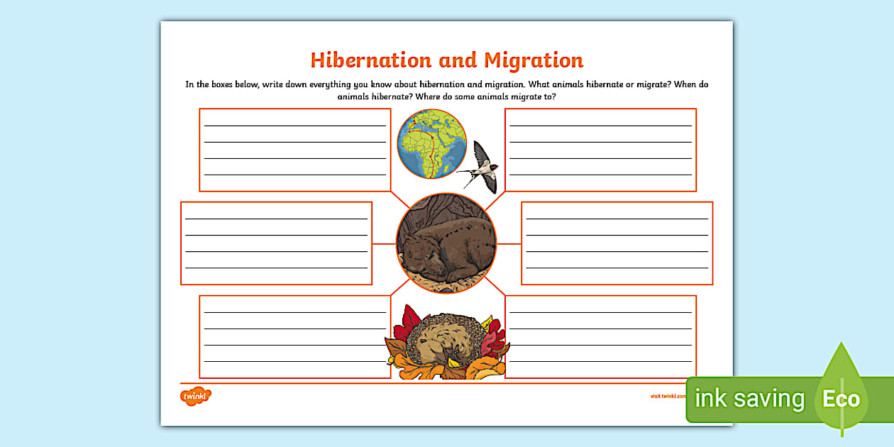 Hibernation and Migration Mind Map - Twinkl - KS2 - Twinkl