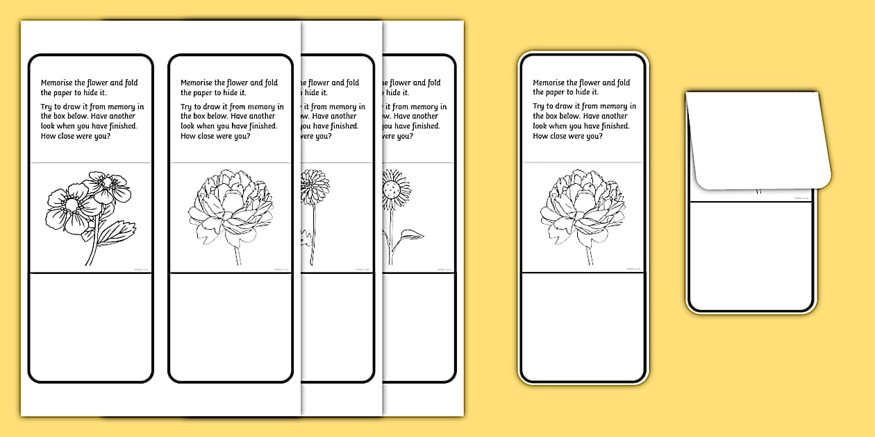Summer Flowers Draw From Memory Activity (teacher made)