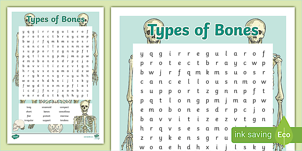 Types of Bones Word Search (Hecho por educadores) - Twinkl