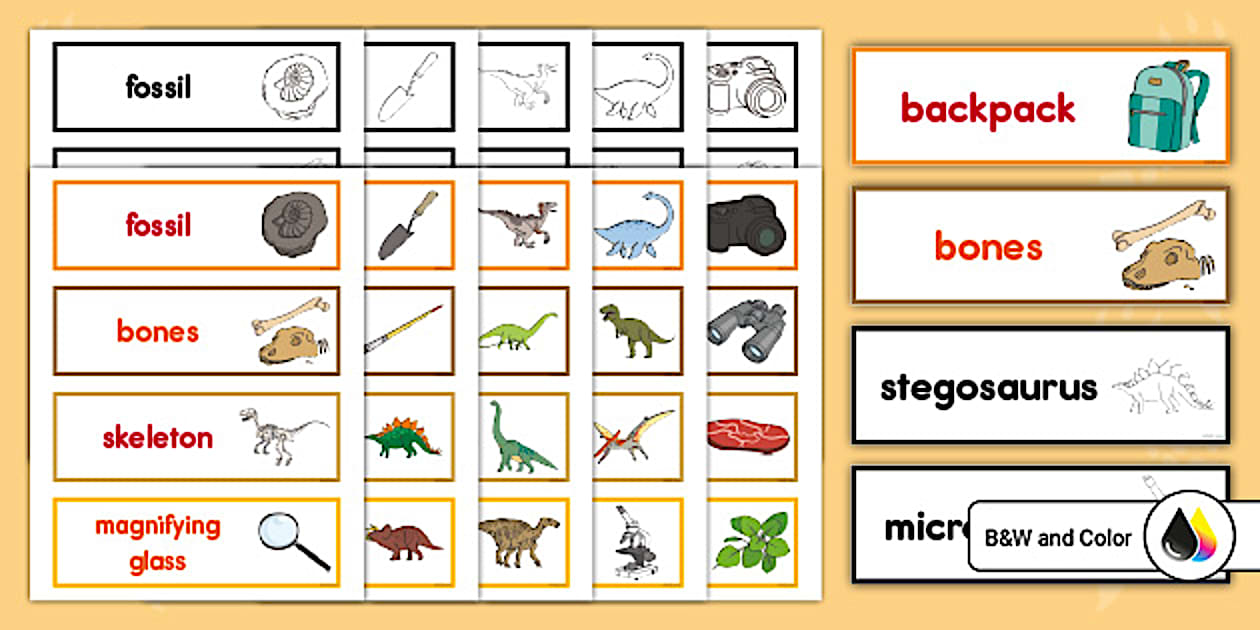 Dinosaur Dramatic Play Word Cards for Kids | Twinkl USA
