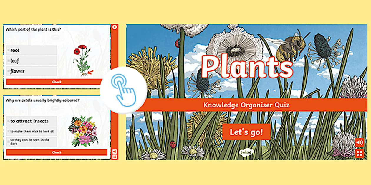Interactive Plants KS2 Quiz Activity | Twinkl Go! - Twinkl