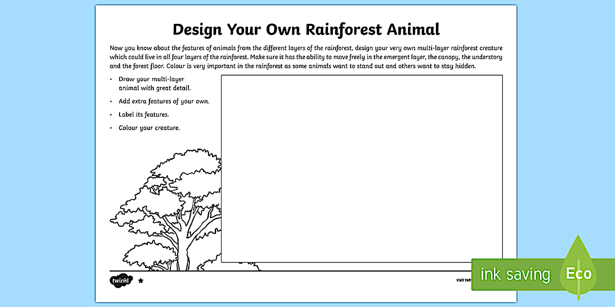 Rainforest Worksheet | Drawing | Craft | Parents - Twinkl