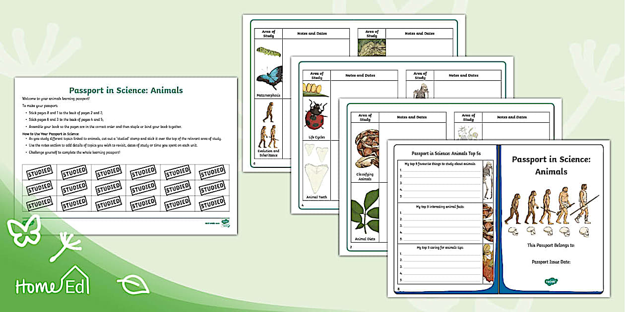 Passport in Science: Animals (Teacher-Made) - Twinkl