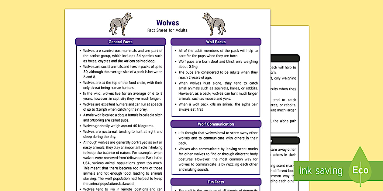 Black and White Wolves Fact Sheet for Adults - Twinkl