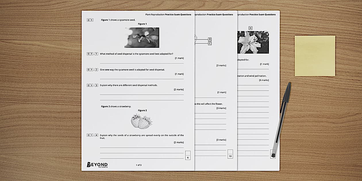 KS3 Plant Reproduction Higher Exam Questions | Beyond