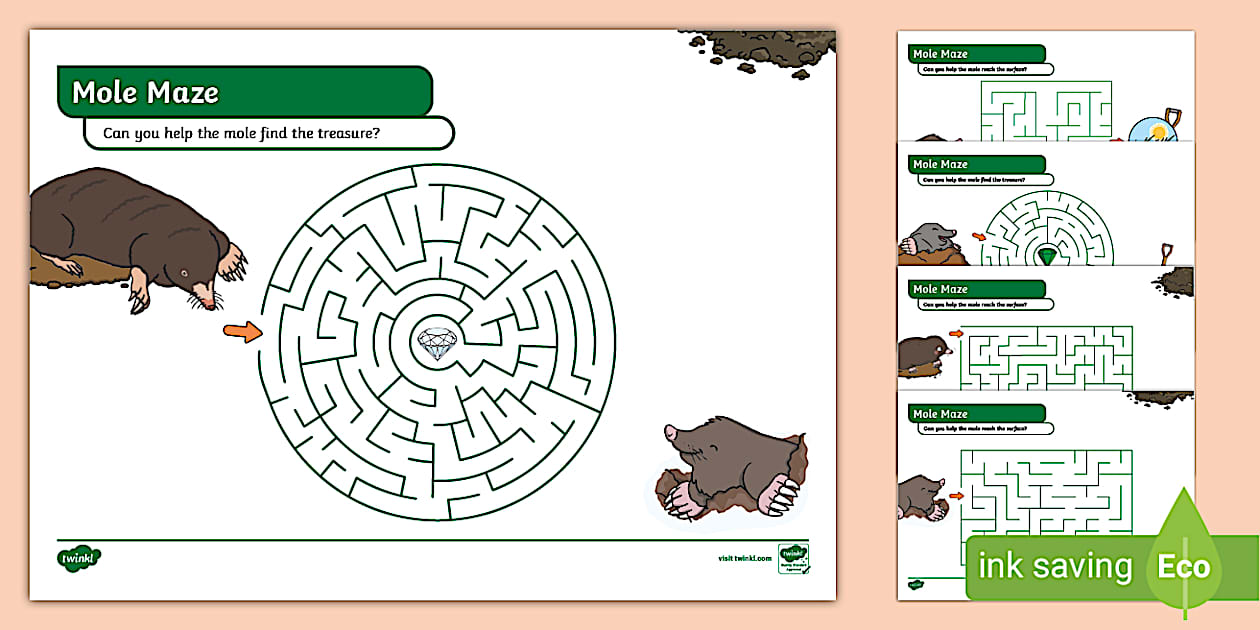 Mole Maze Activity Worksheets (teacher made) - Twinkl