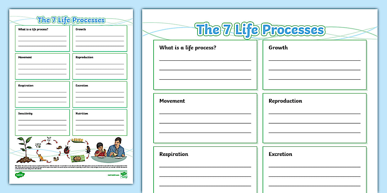 The 7 Life Processes Fact File Template (Teacher-Made)
