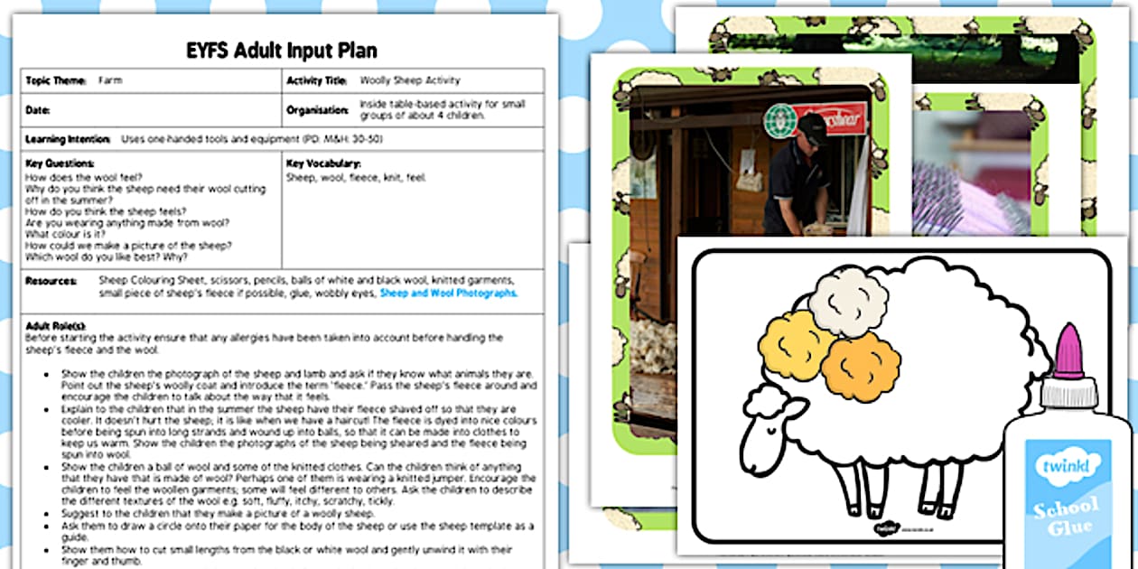 Black and White Woolly Sheep Activity EYFS Adult Input Plan And ...
