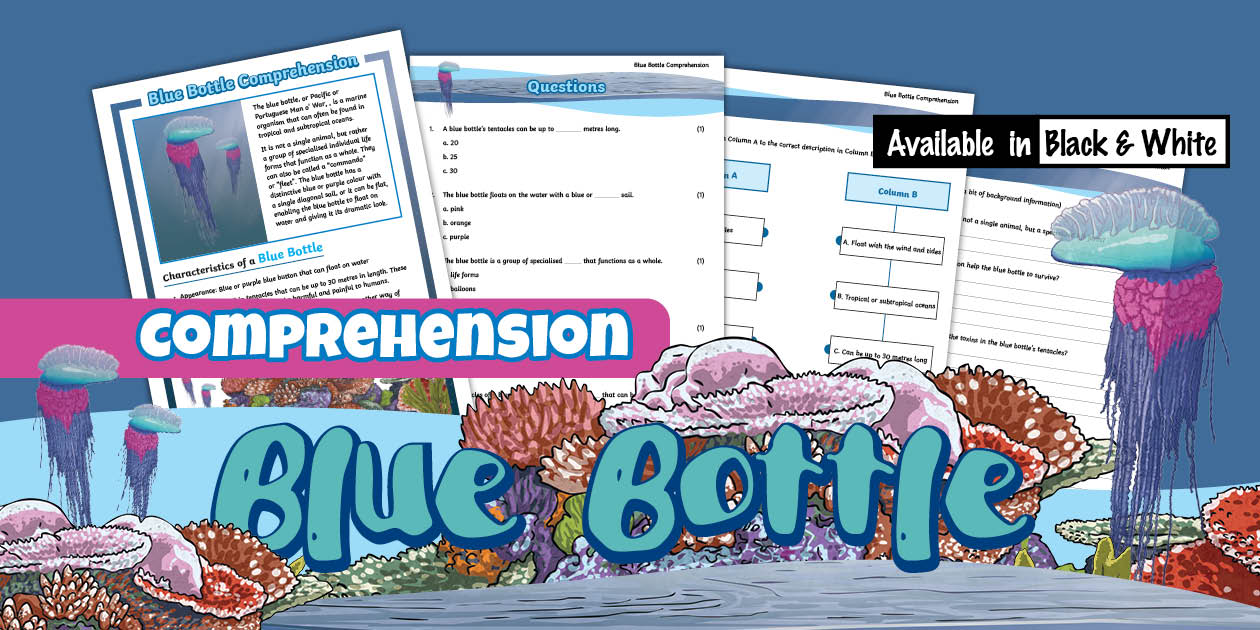 Grade 4 English - Blue Bottles Comprehension - Activity