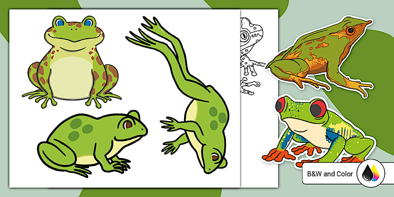 Frog Cutouts (teacher made) - Twinkl