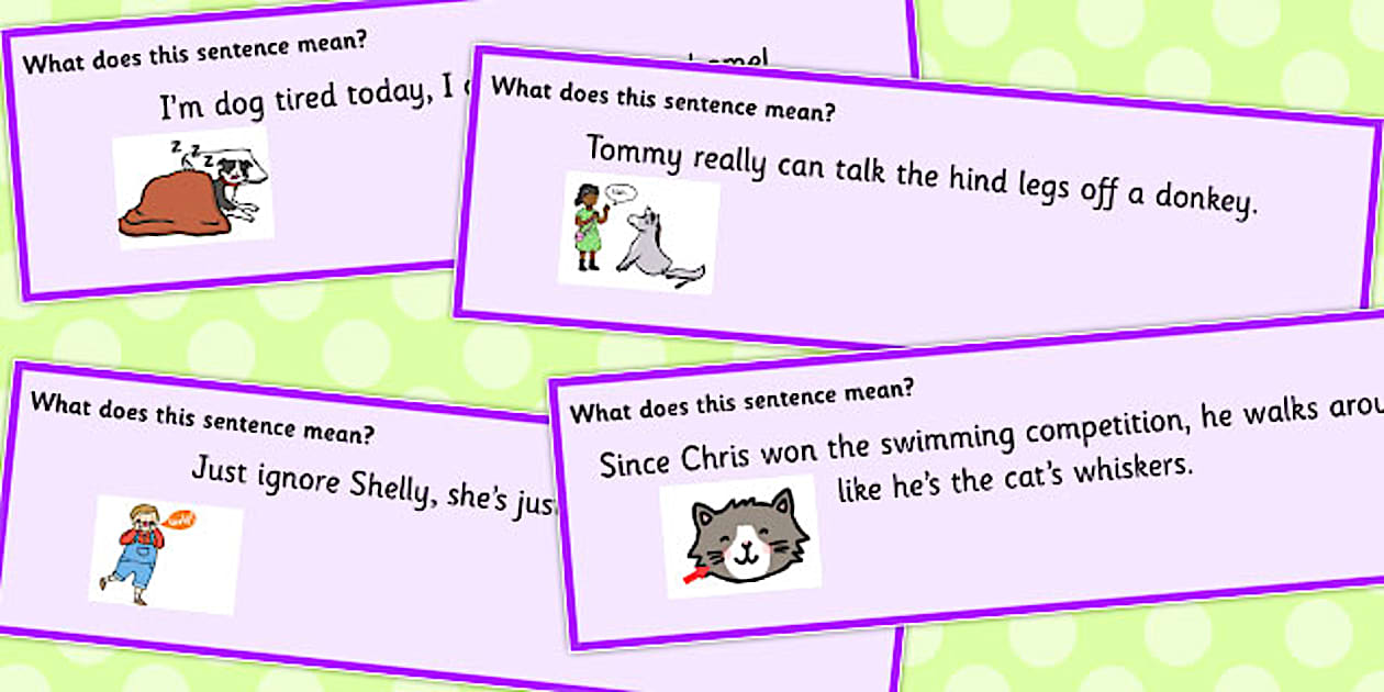 Animal Idioms Sentences Set 3 - Twinkl