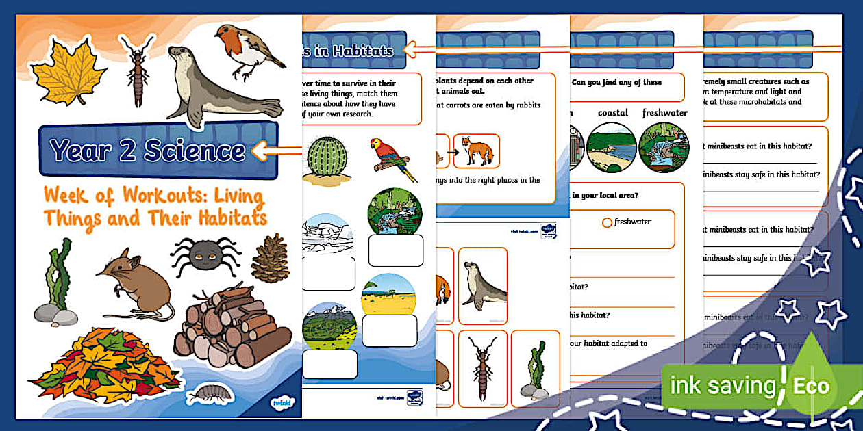 Year 2 Science Week of Workouts: Living Things Activity Pack