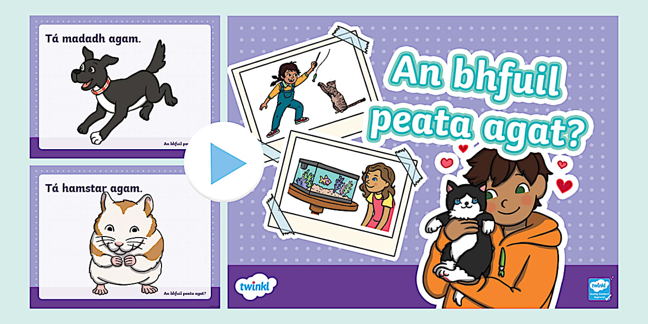 An bhfuil peata agat? PowerPoint (Teacher-Made) - Twinkl