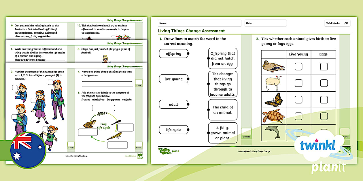 Year 2 Science Living Things Change Assessment Test