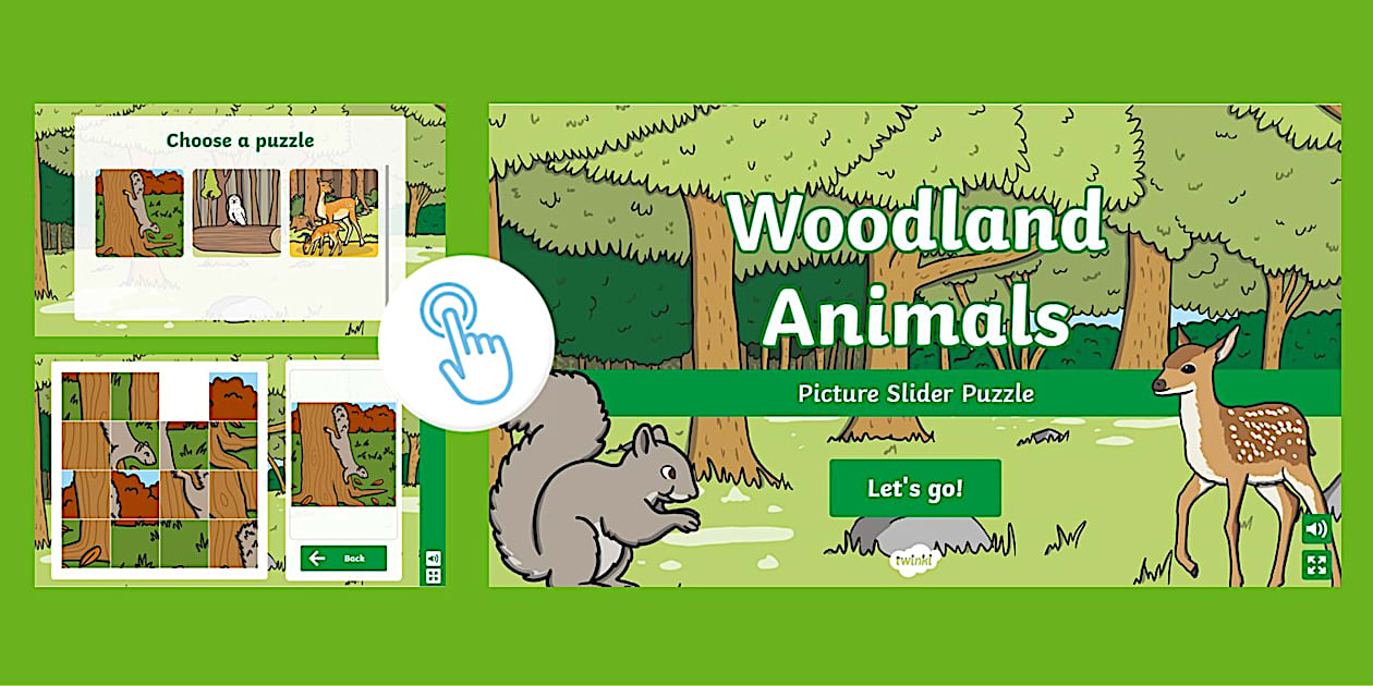 Woodland Animals Picture Slider Puzzle | Twinkl | KS1 | KS2