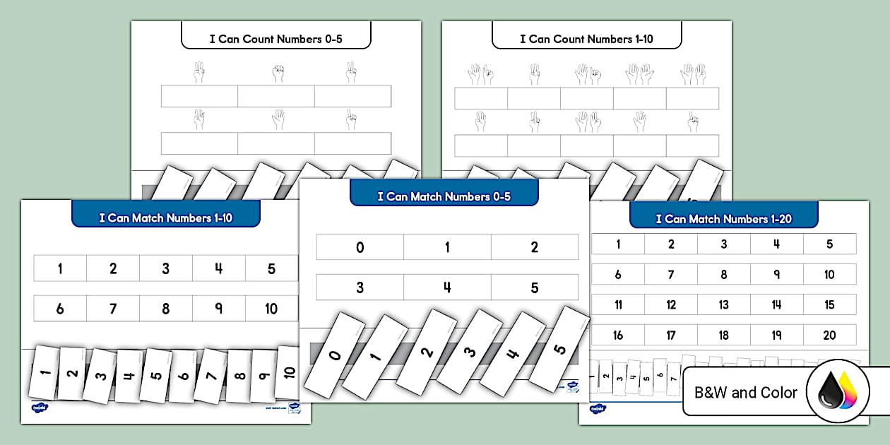 Number Skills Adapted Work Worksheets for SPED - Twinkl