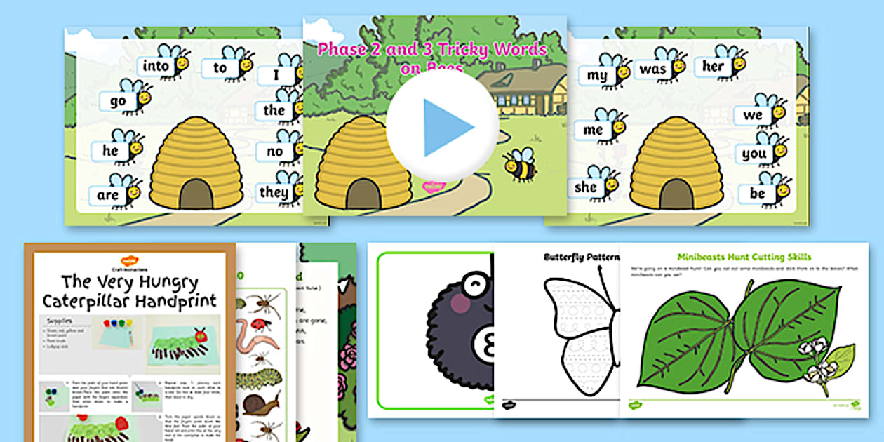 EYFS Minibeast Home Learning Resource Pack (Ages 3-5)