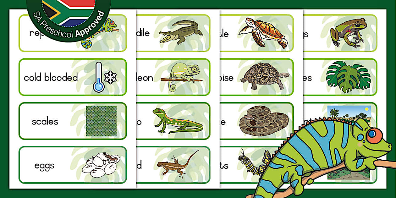 Reptiles: Word Cards (teacher made) - Twinkl