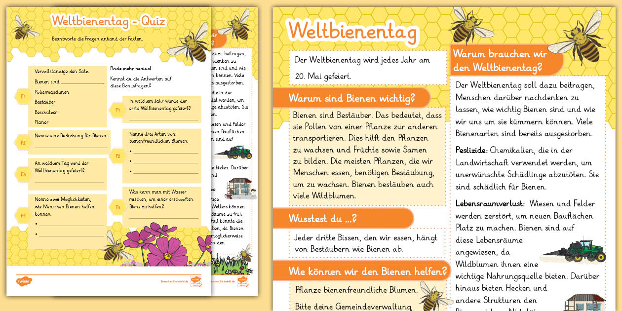 Fakten und Quiz zum Weltbienentag - Arbeitsblatt - Twinkl