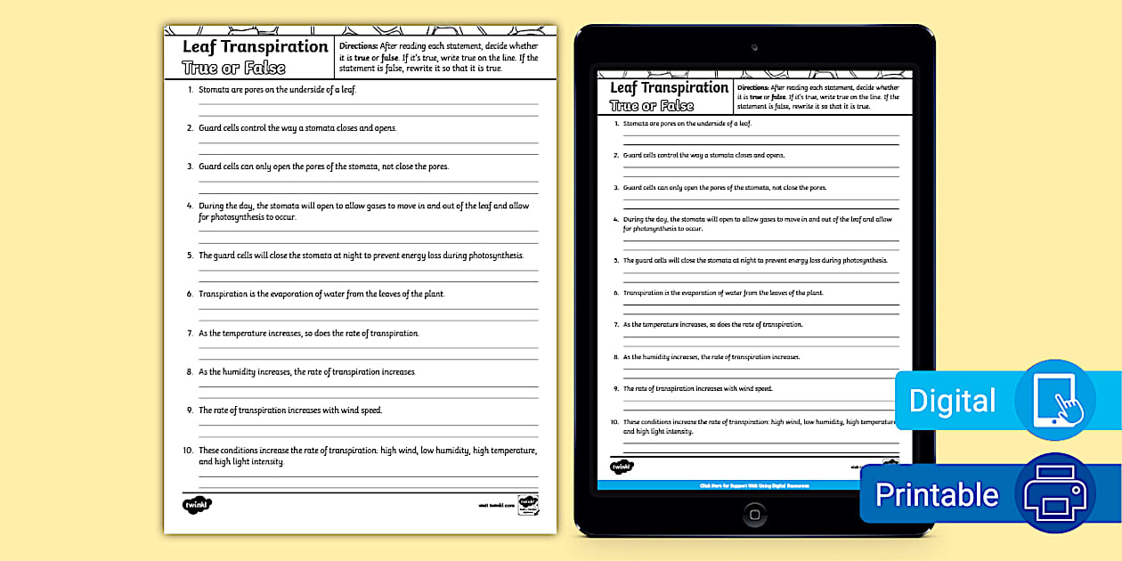 Leaf Transpiration True or False Worksheet for 6th-8th Grade