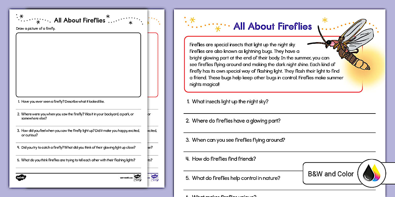 All About Fireflies ELL Beginner Level Reading and Writing