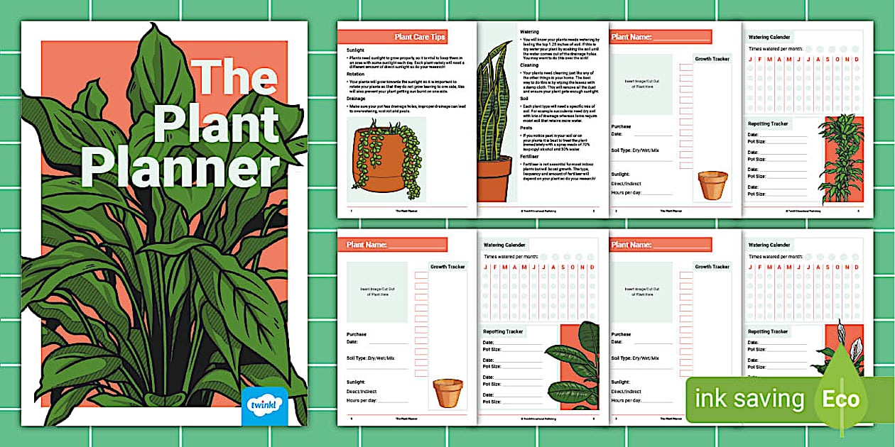 The Plant Planner | Twinkl Busy Bees