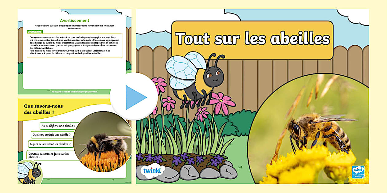 Powerpoint sur les abeilles (teacher made) - Twinkl
