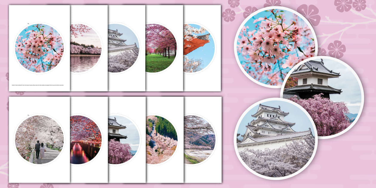 Cherry Blossom Circle Photo Cut-Outs (teacher made) - Twinkl