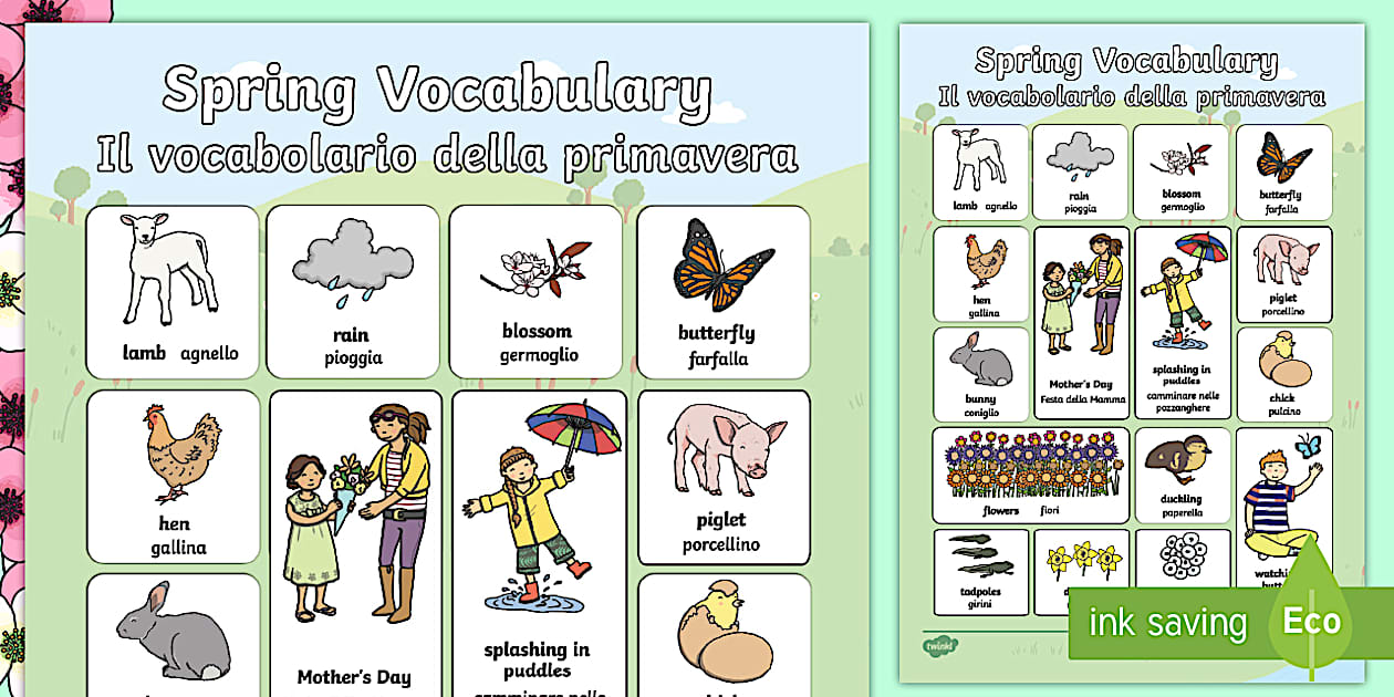Spring Vocabulary Poster - Spring Vocabulary Poster - Twinkl