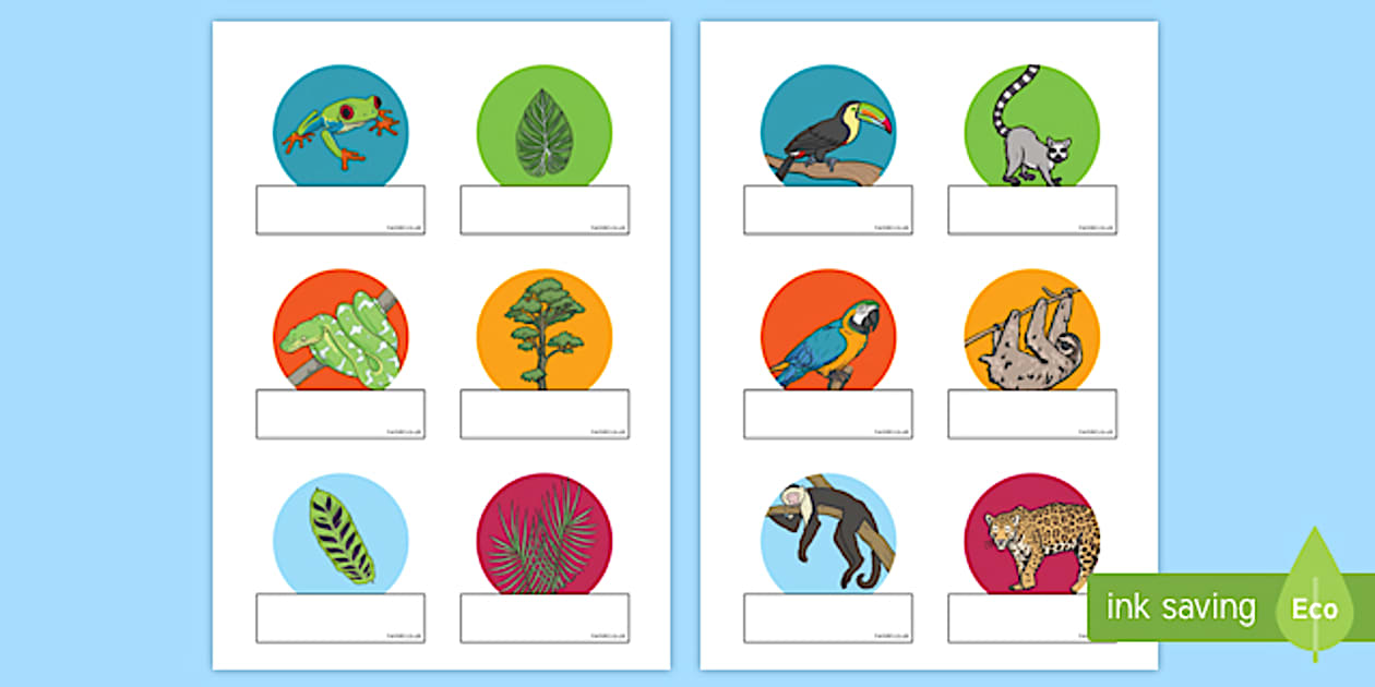 Rainforest Themed Editable Self-Registration - Twinkl