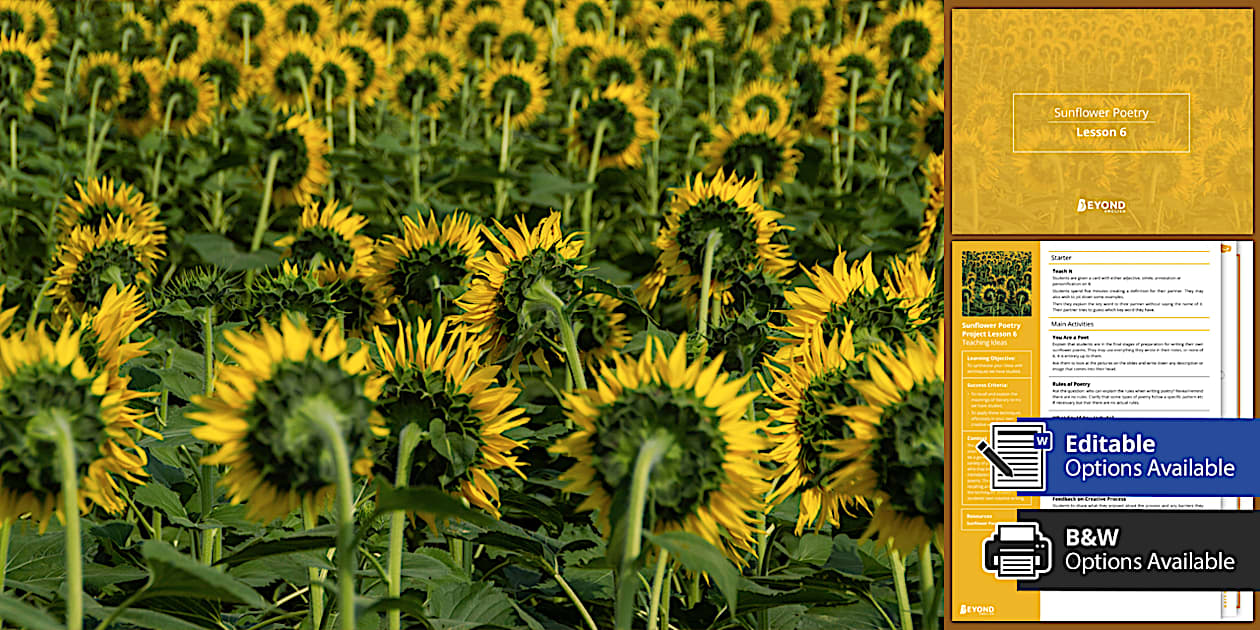 Sunflower Poetry Project Lesson 6: Writing Poetry | Beyond