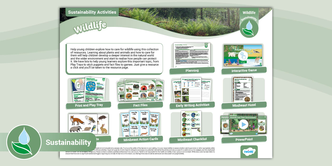 EYFS Sustainability Activities: Wildlife | Twinkl - Twinkl