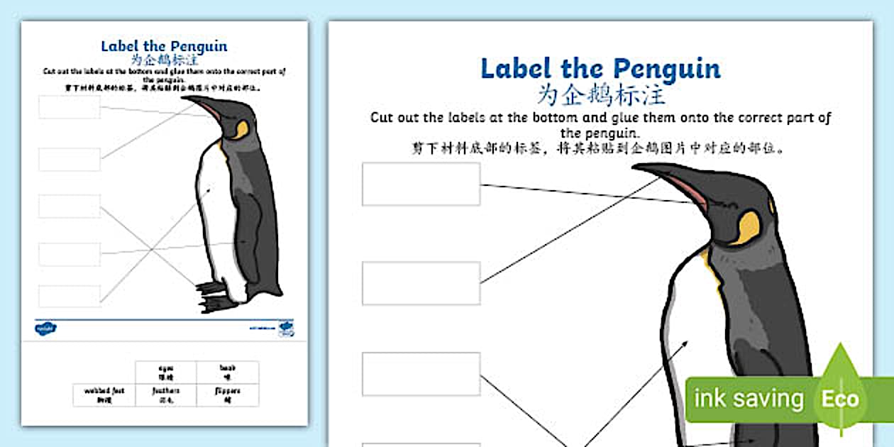 Label the Penguin Worksheet - English/Mandarin Chinese