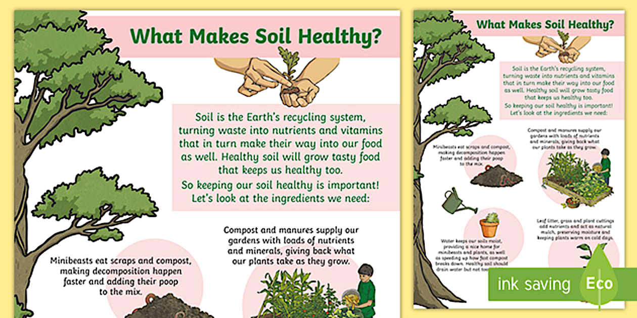 Editable What Makes Soil Healthy? Display Poster - Twinkl