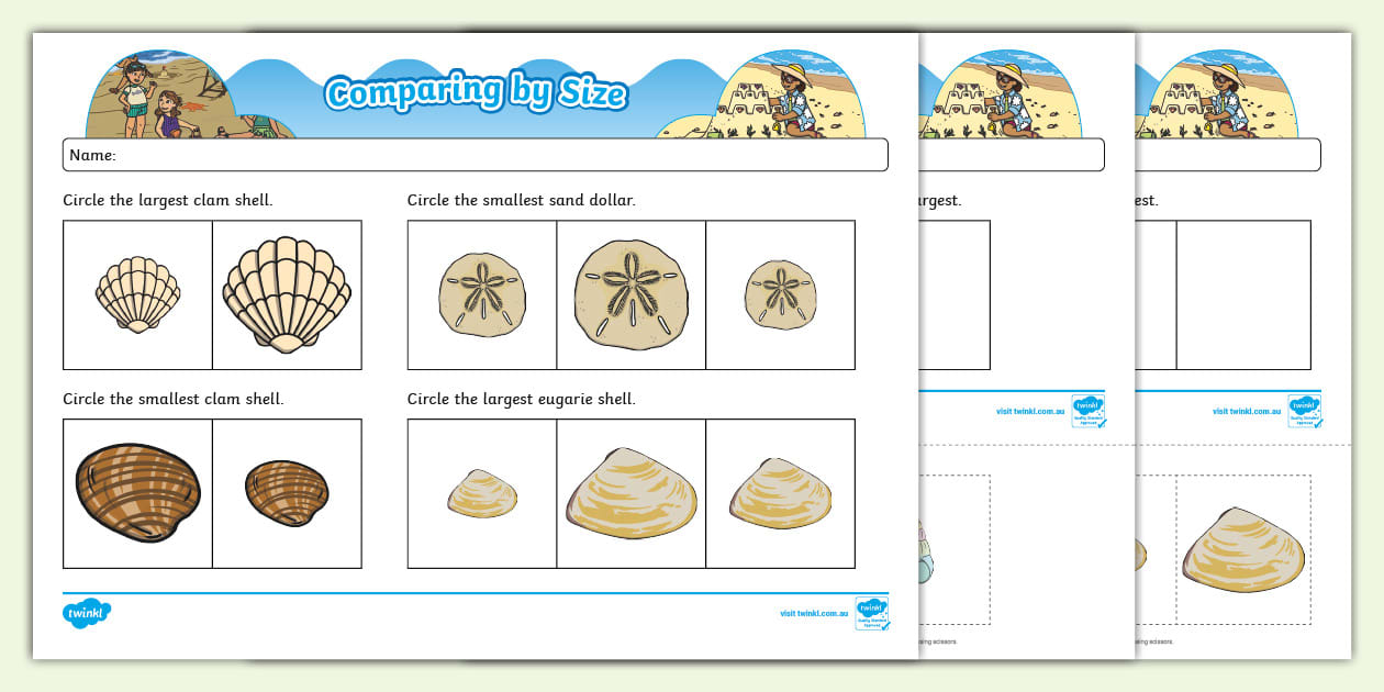 Size Comparison and Ordering Activity Sheet (teacher made)