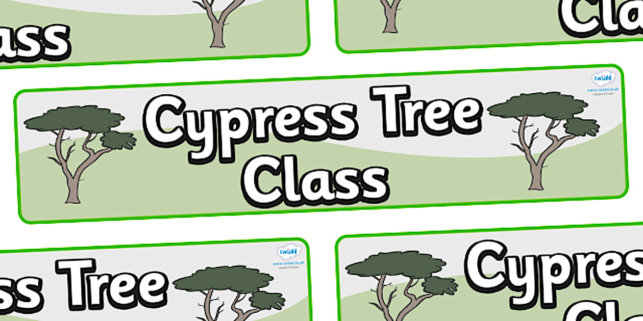 Cypress Tree Themed Classroom Display Banner (teacher made)