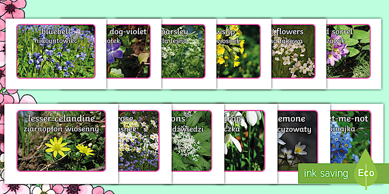 Springtime Flowers Display Photos English/Polish - Twinkl