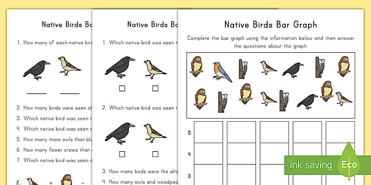 Lower Ability Native Birds Bar Graph Differentiated Activity Worksheet