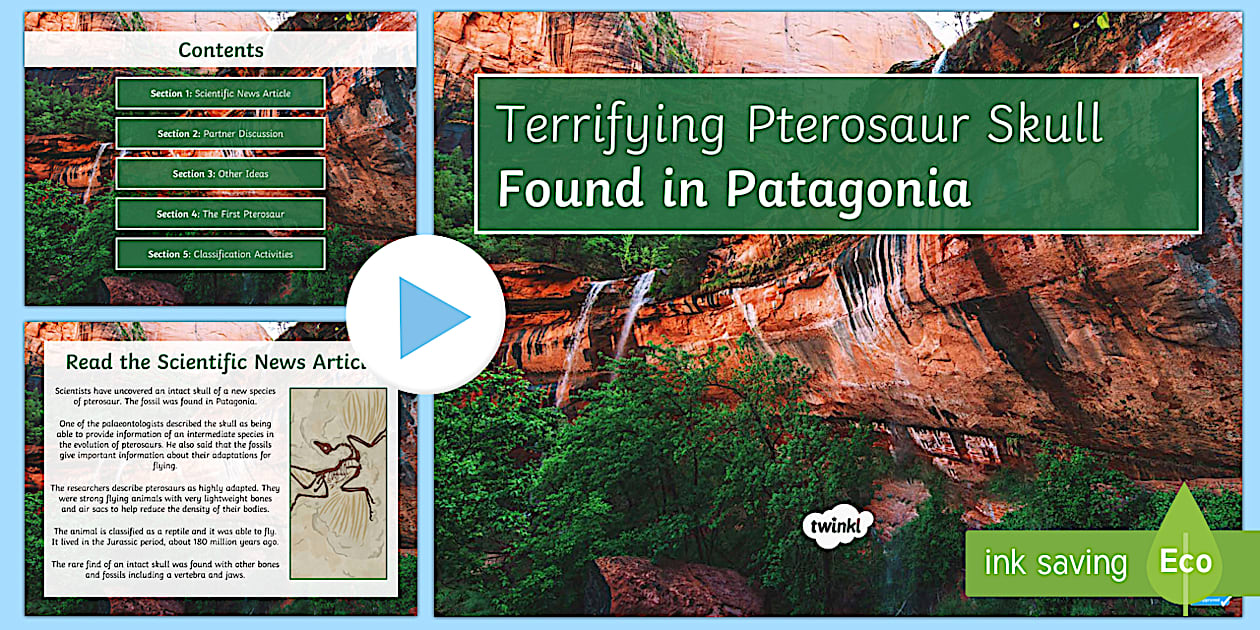 Terrifying Pterosaurs: Classification PowerPoint - Twinkl