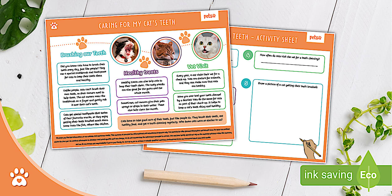 Caring for My Cat's Teeth - Information Sheet - Twinkl Pets