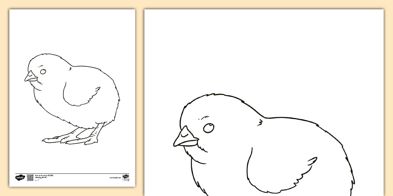Baby Chick Colouring Sheet | Twinkl
