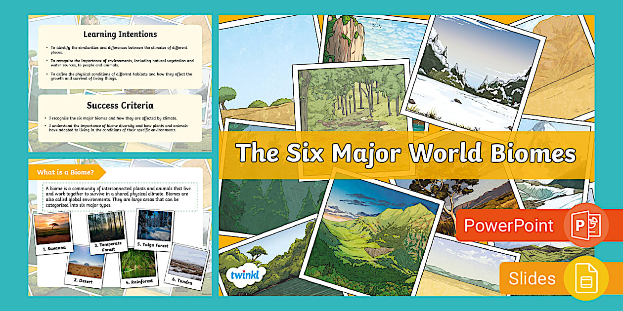 The 6 Major World Biomes - Plant and Animal Adaptations
