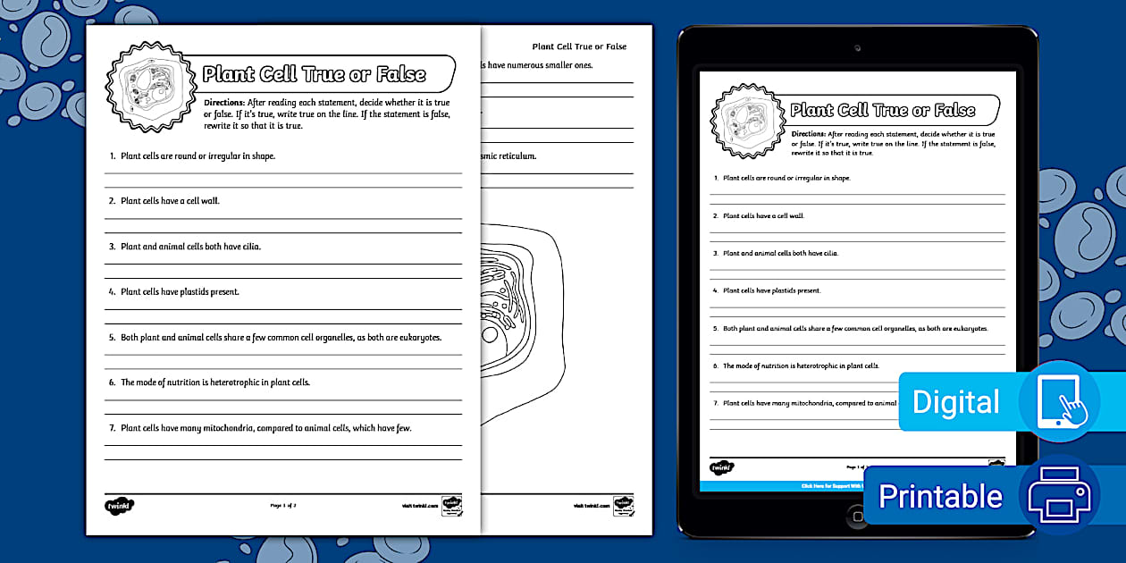 Plant Cell True or False Quiz for 6th-8th Grade - Twinkl