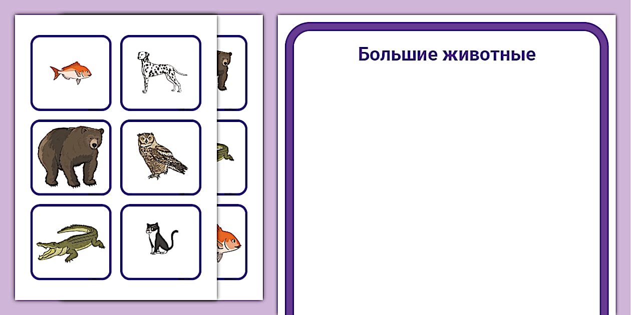 Big and Small Sorting Activity Russian Translation - Twinkl