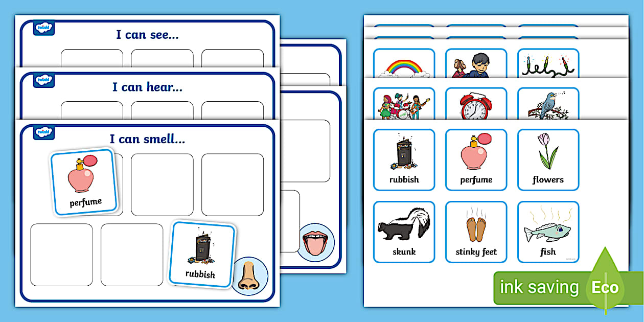 Editable Five Senses Sorting Activity (l'enseignant a fait)