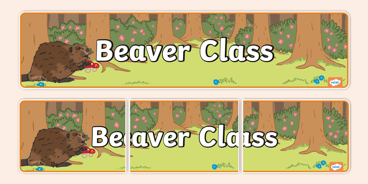Beaver Themed Classroom Display Banner - Twinkl