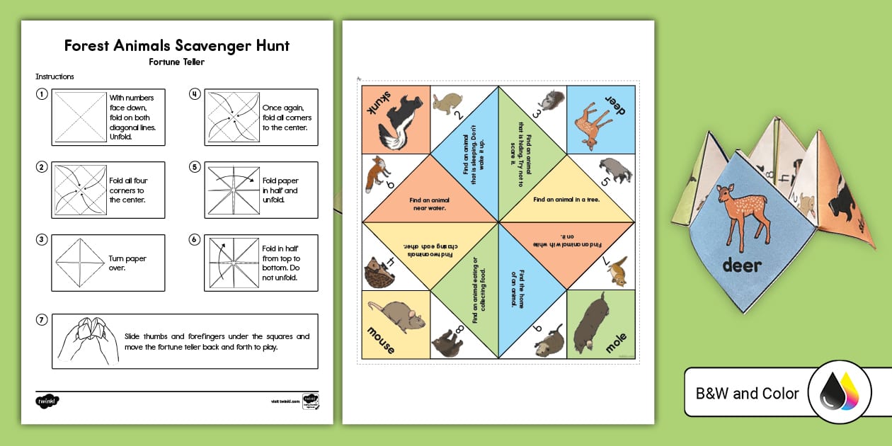 Forest Animals Scavenger Hunt Fortune Teller - Twinkl