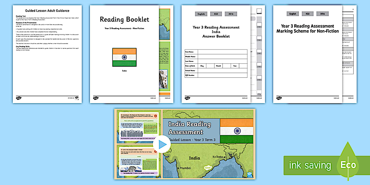 Year 3 Term 3 Non-Fiction Reading Assessment Guided Lesson Teaching Pack