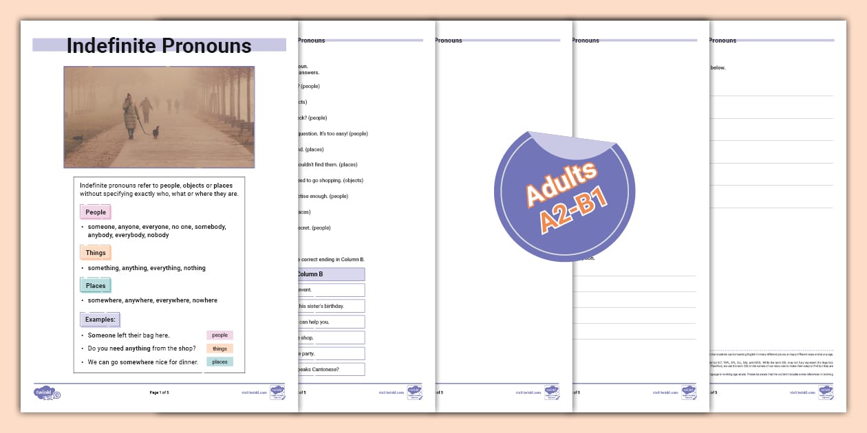 ESL Indefinite Pronouns Activity Sheet [Adults, A2-B1]